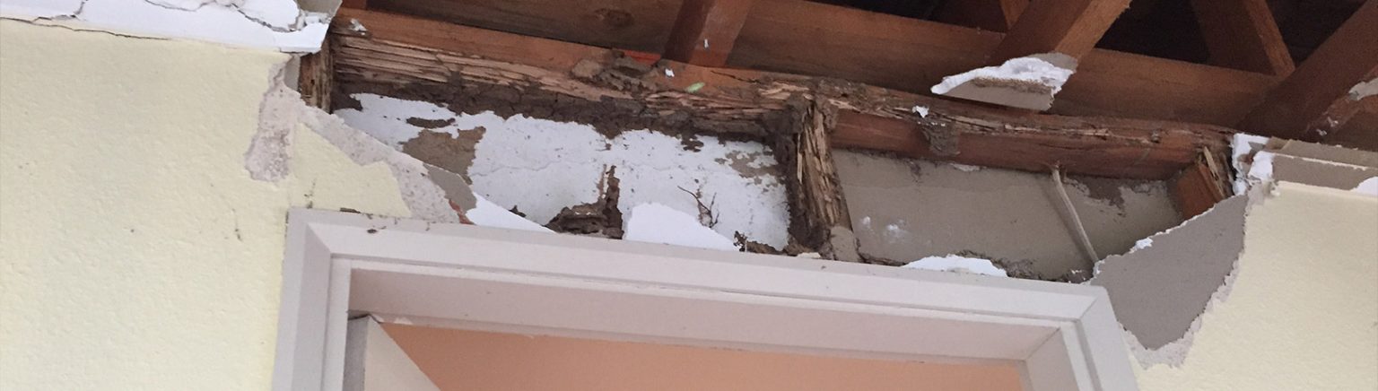 Termite Thermal Imaging Inspection | Quality Termite Control